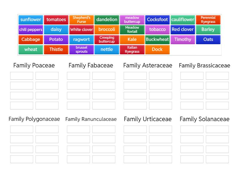 Plant Classification - Group sort