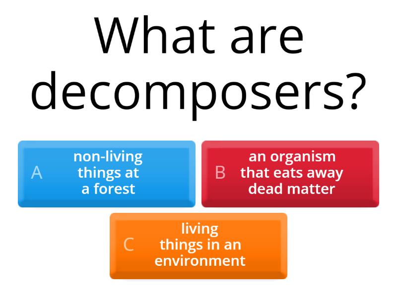 Decomposers - Quiz