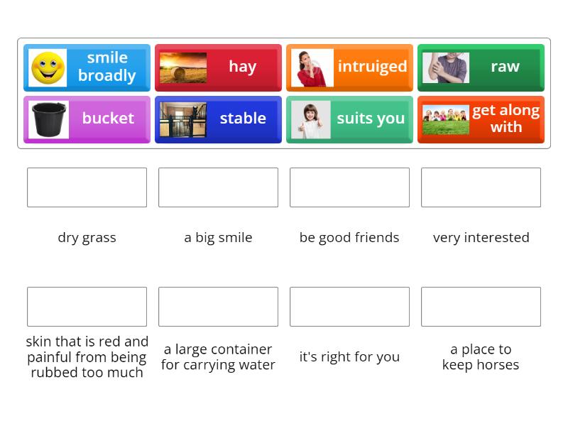G7 U8 L12 - War Horse Vocabulary - Match up