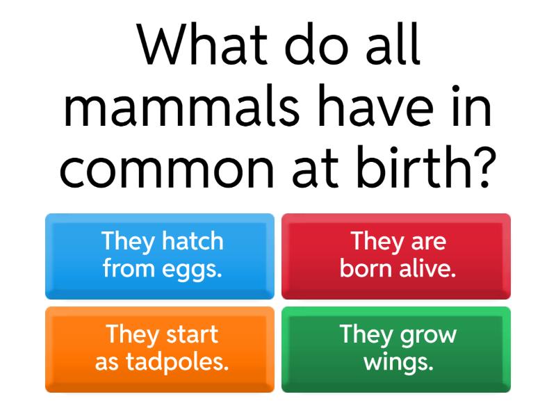 Science Life Cycle of mammals - Quiz