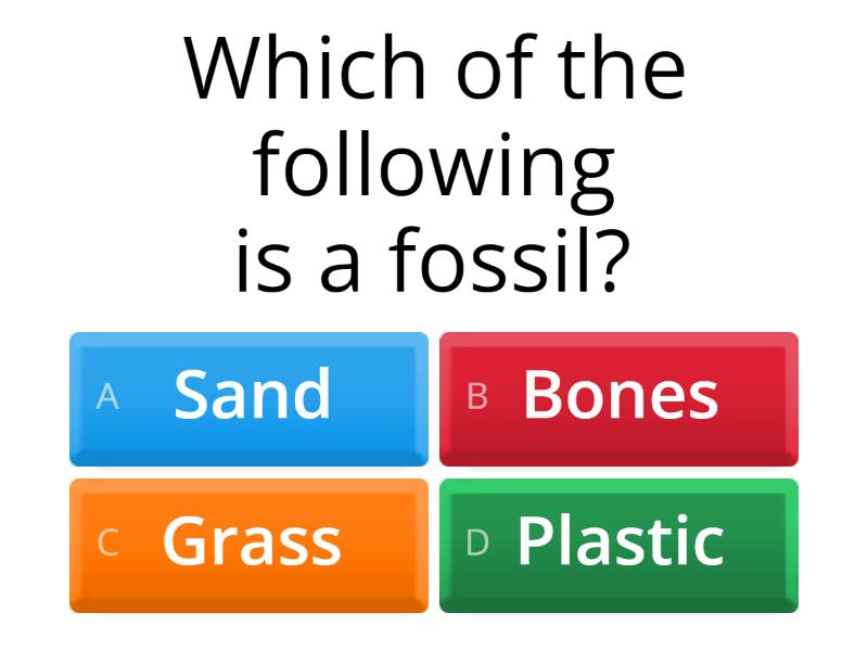 FOSSILS 1 - Quiz