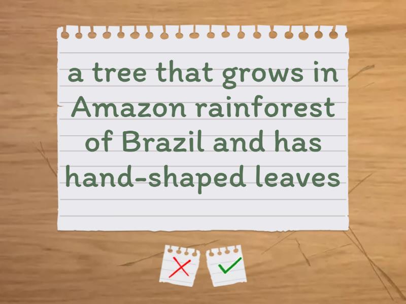 adaptation in plant2 - Flash cards