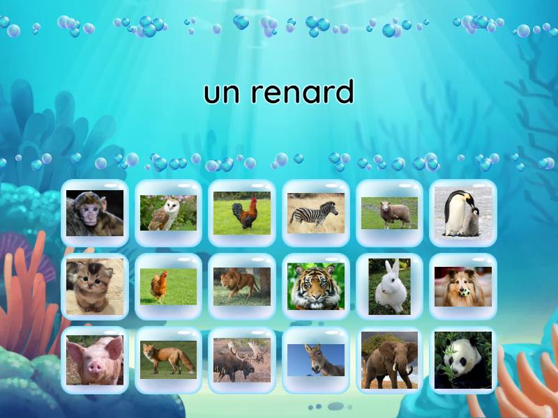 Mon animal prefere - Find the match