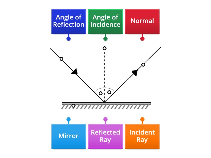 Reflection Diagram - Labelled diagram