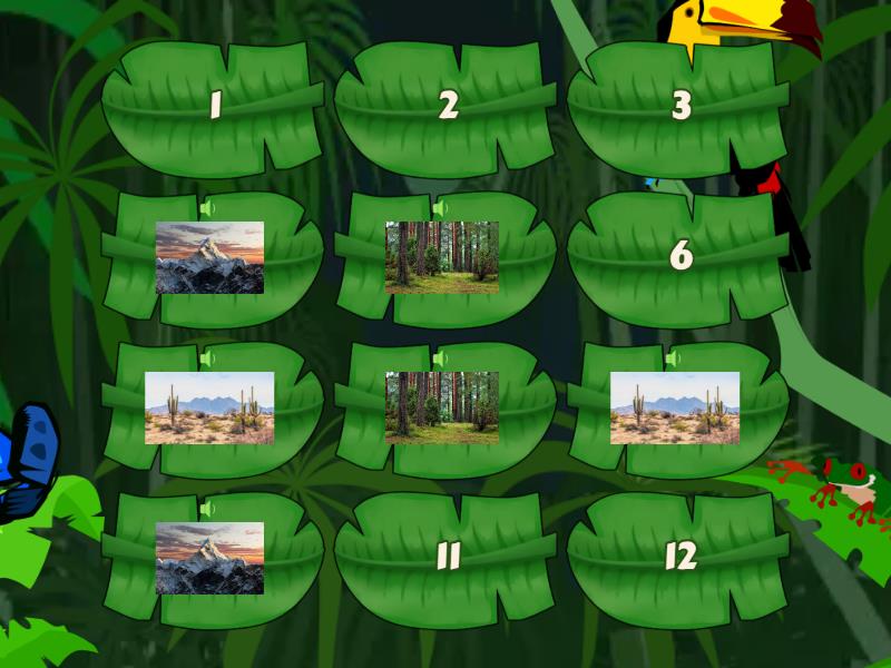 Landforms Matching Game - Matching pairs