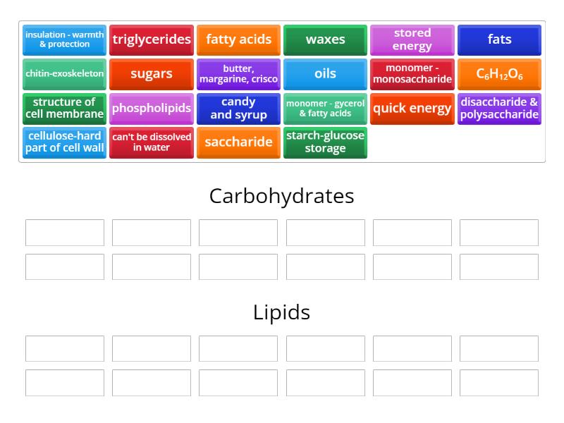 Carbohydrates vs Lipids - Ordenar por grupo
