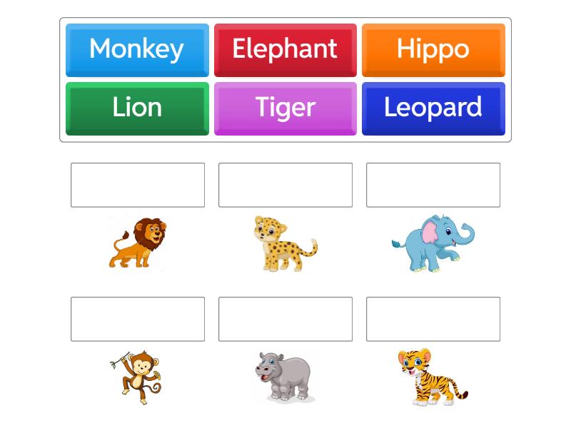 Matching Animals to Their Names - Match up