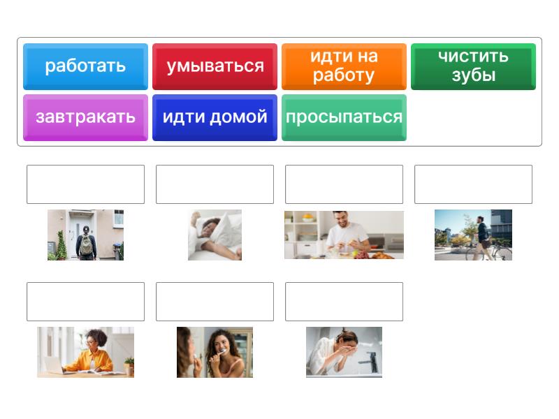 Daily routine A1 - Match up