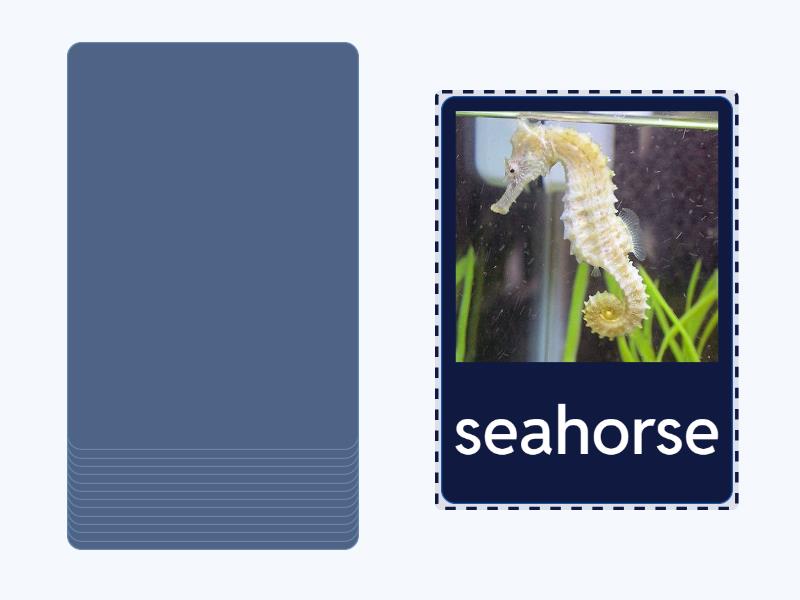 sea animals - Speaking cards
