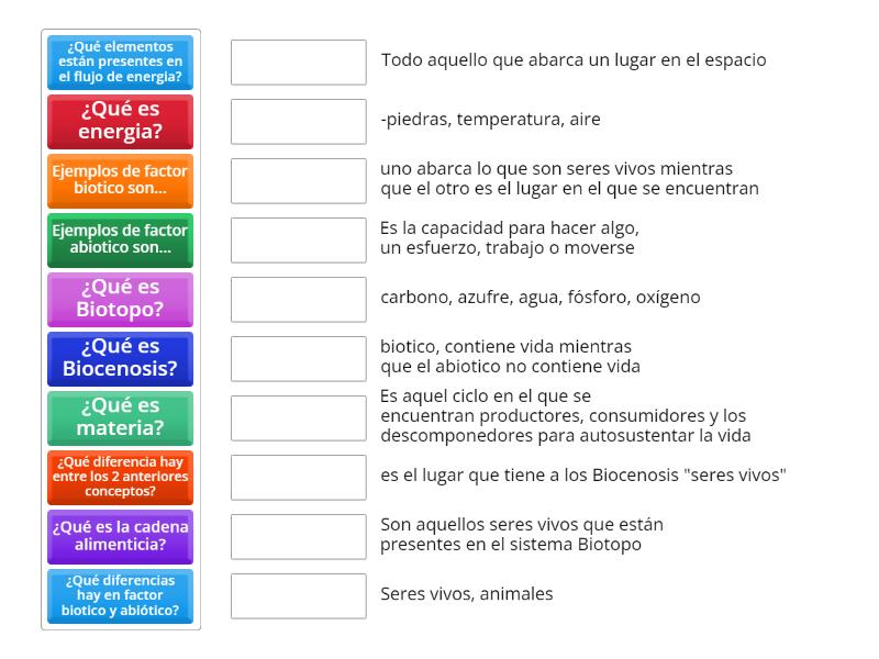 Cuestionario del flujo de la energia y la materia - Une las parejas