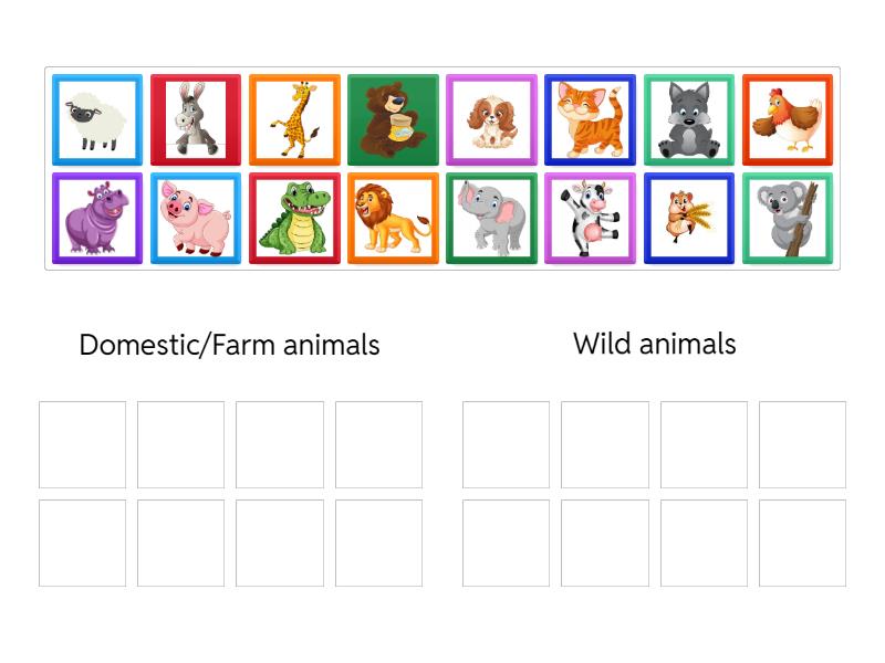 wild/domestic animals - Group sort