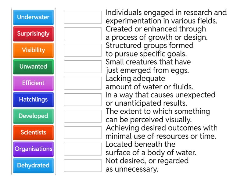 definitions - Match up