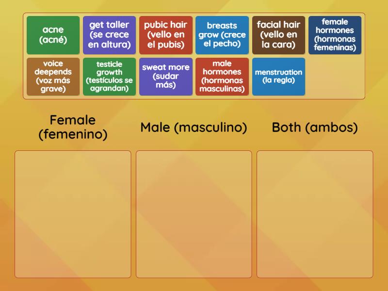 Changes in puberty - Group sort