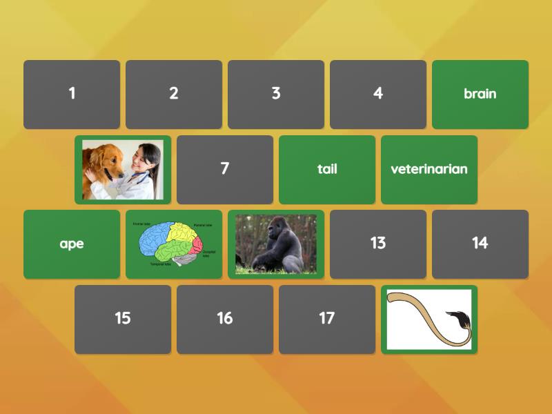 G12 U8 L1 - Matching pairs