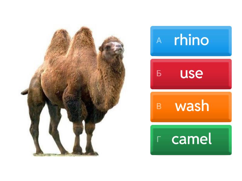 Spotlight 5 Module 5a - Викторина