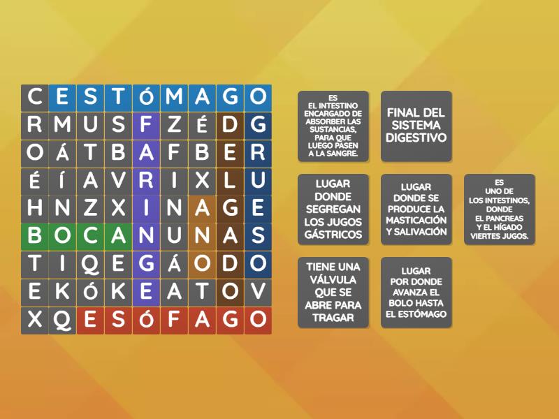 Definiendo - Sistema digestivo - Sopa de letras