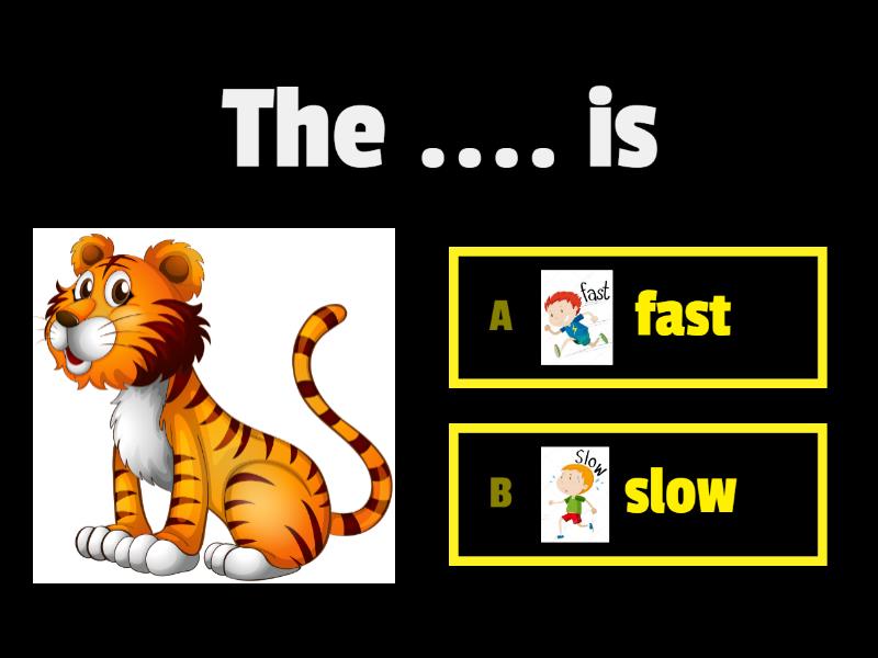 Fast or slow? - Quiz