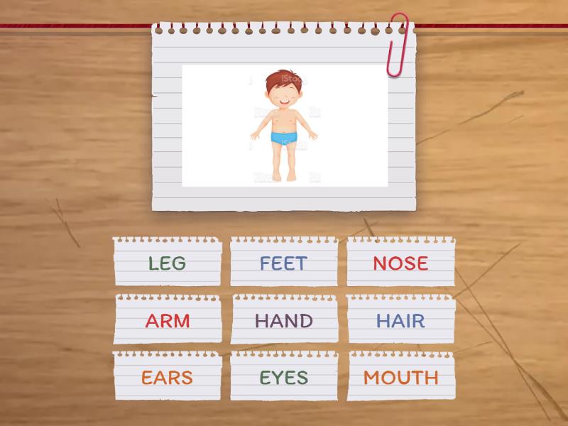 What's missing? - BODY PARTS - Find the match