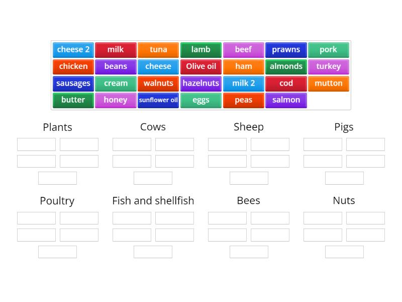 Food Groups Year 2 - Group sort