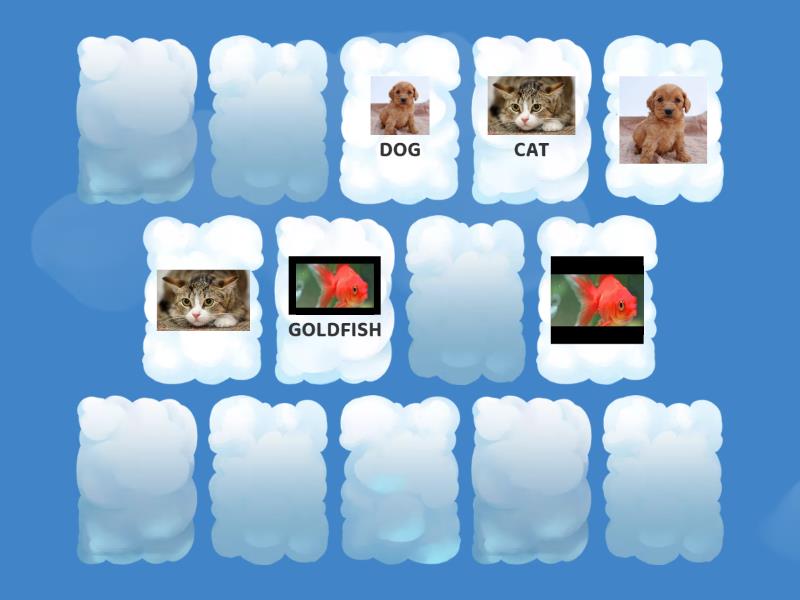 PETS Memory game - Matching pairs