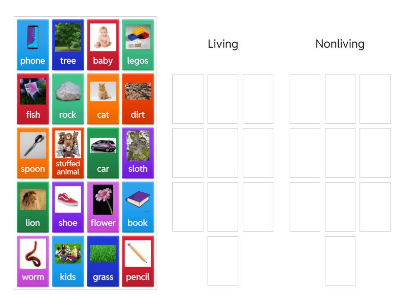 Living and Nonliving Things Sort - Group sort