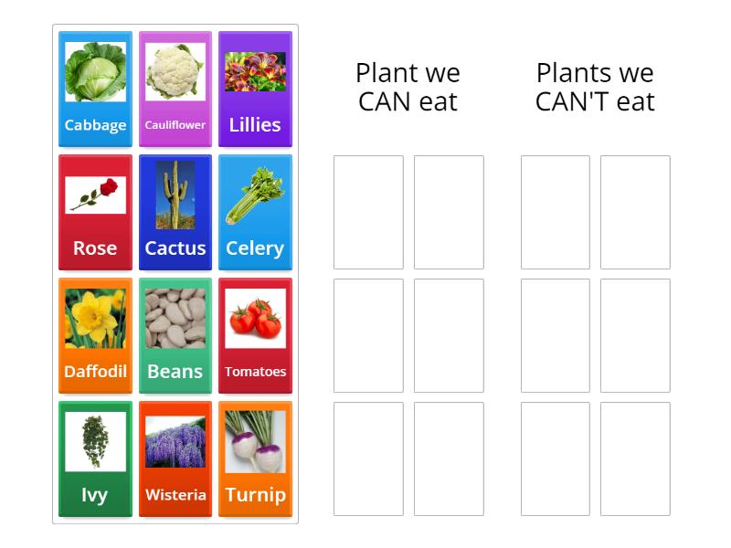 Plants we can or can't eat - Group sort