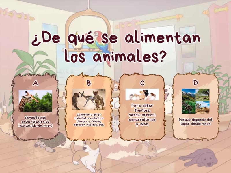 Alimentación animales - Cuestionario