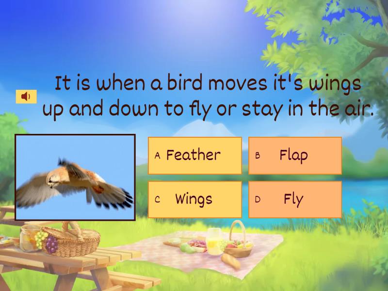 Little Flap Learns to fly - Quiz