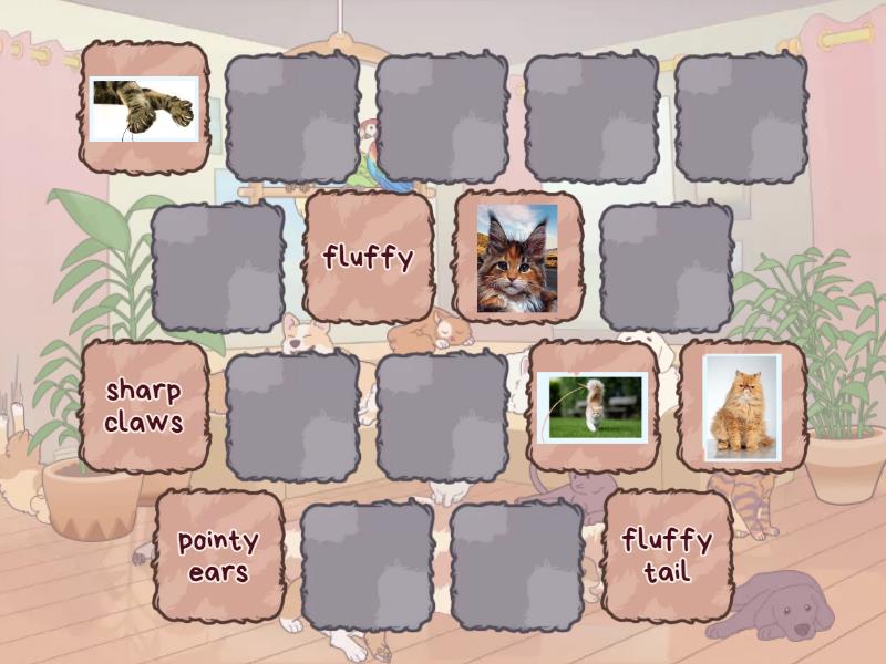 Cats - Matching pairs