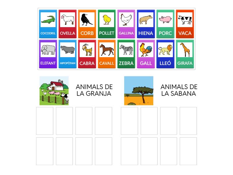 ANIMALS GRANJA-SABANA (P.F.) - Group sort