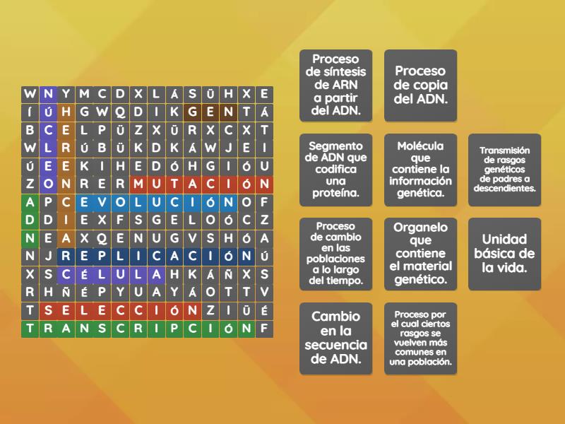 Diagnóstico-Genética y evolución - Sopa de letras