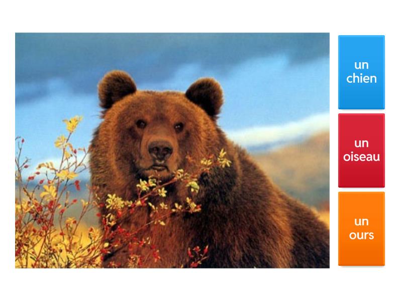 Pre- for Boucles Violettes et les trois ours vocabulaire - Quiz