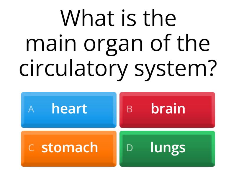 Circulatory system ! - Quiz