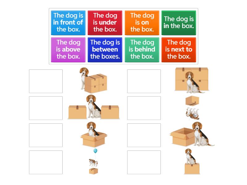 1. Prepositions of Place: the dog is ___ the box - Match up