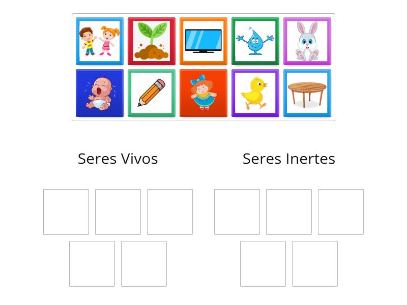 Ordena el grupo de seres vivos e inertes - Group sort