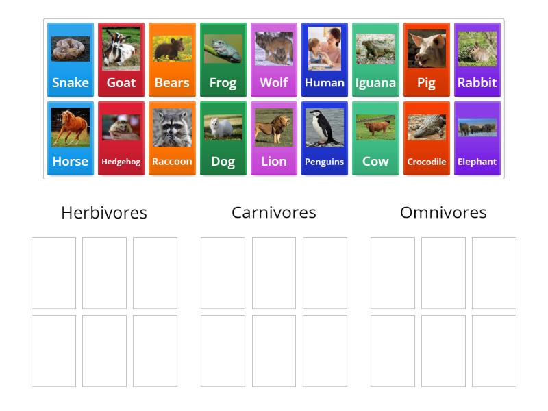 Herbivore, carnivore and omnivore - Group sort