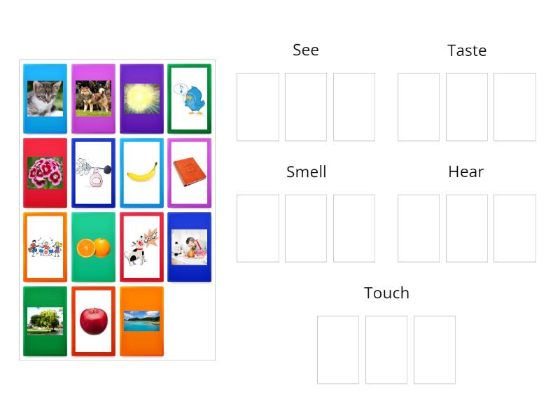 Smell, hear, taste, see, touch - Group sort