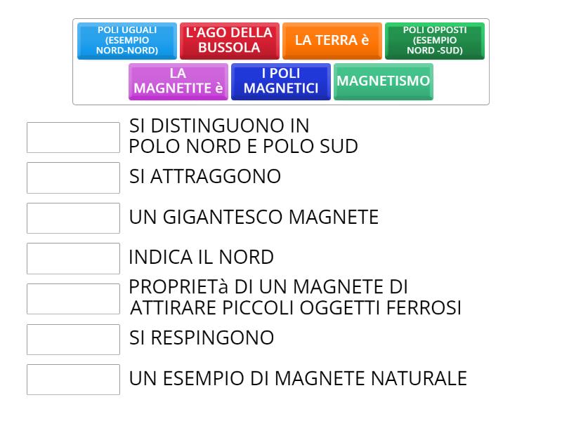 il magnetismo - Match up