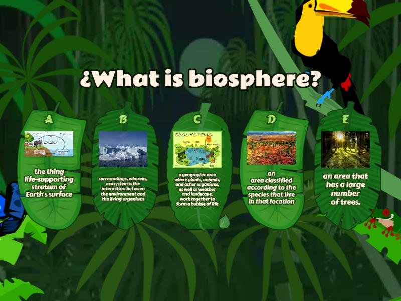 Biosphere - Quiz