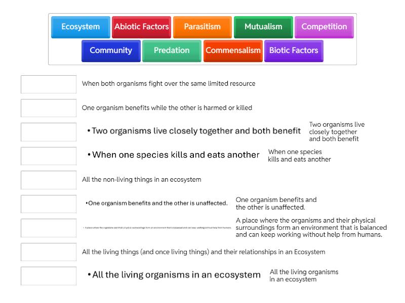 Biotic relationships in Ecosystems - Match up