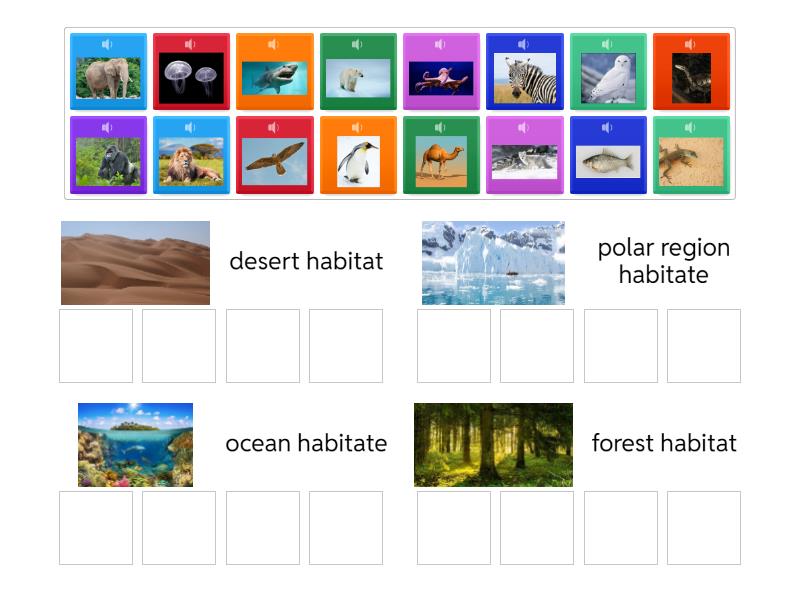 all about habitat - Group sort