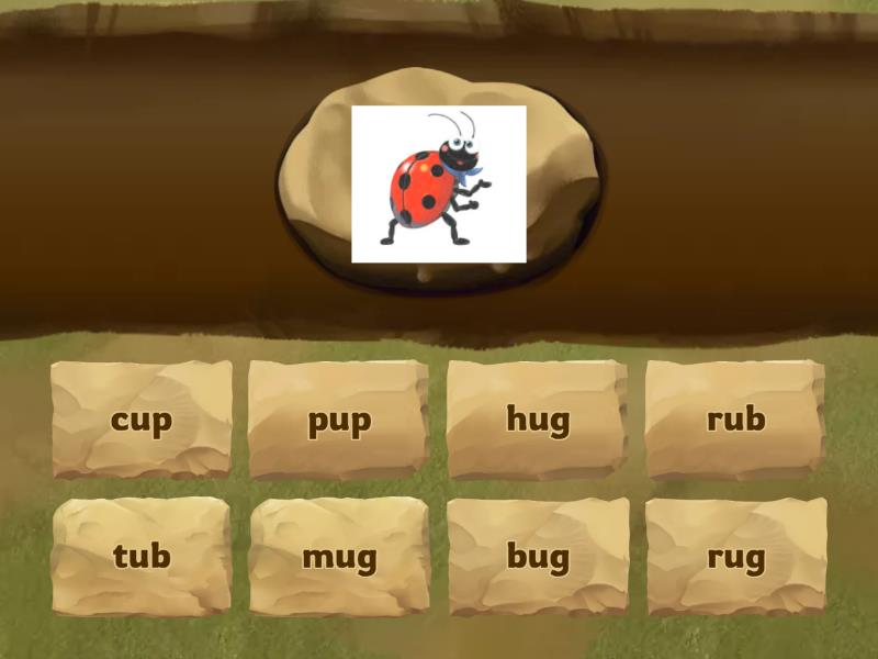 Unit 7: Short Vowel U (ug - ub - up) - Find the match