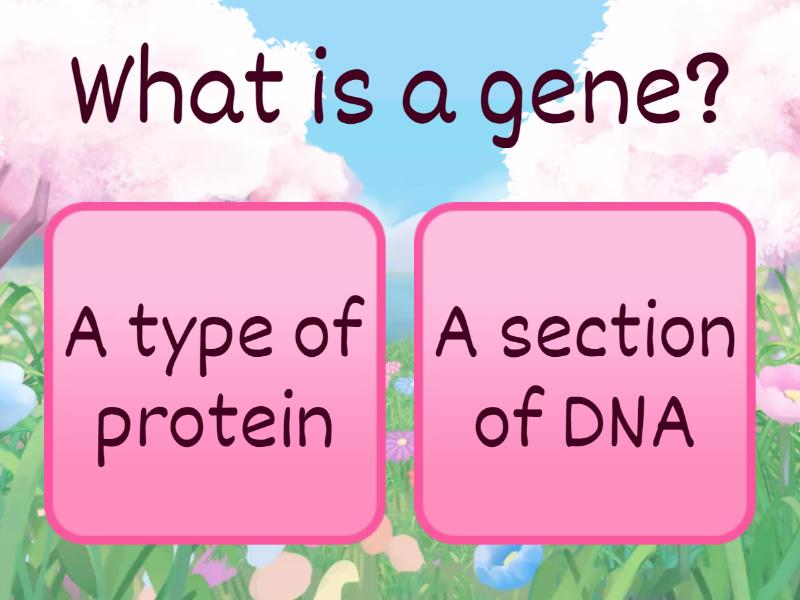 Genetics Basics - Quiz
