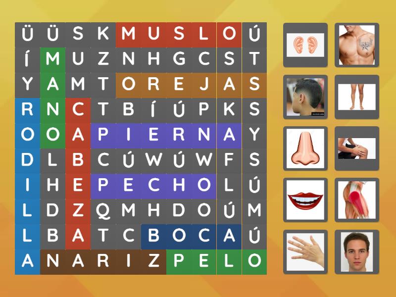 sopa de letras de las partes del cuerpo humano - Wordsearch