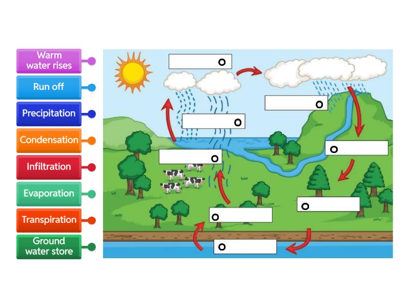 Retrieval Practice Water Cycle - Labelled diagram