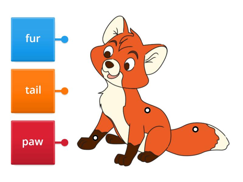 Fox body parts - Labelled diagram