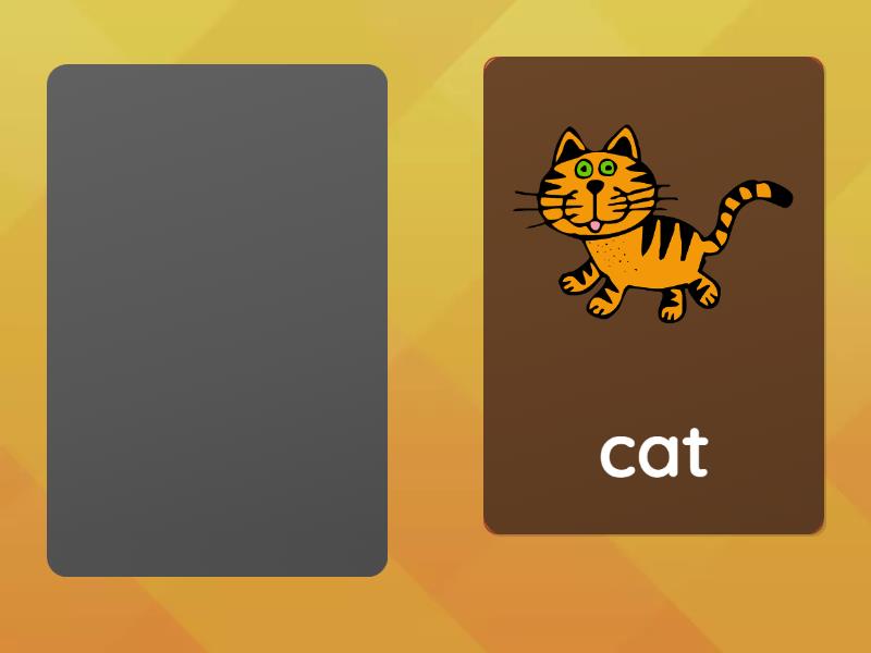 pat a cat / bat Phonics - Speaking cards