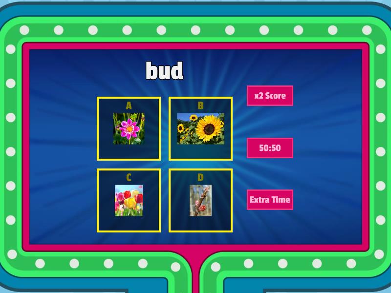 Lesson 39b UFLI - Gameshow quiz