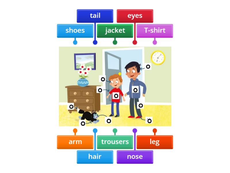 AS1 U8 Review 4 - Labelled diagram