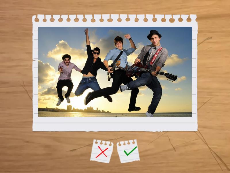 Types of music opinions - Flash cards